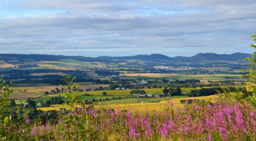 Grant awarded to new ‘green museum’ experience in Alyth - Culture Perth ...