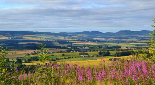 New partnership sees Alyth Museum go green this summer - Culture Perth ...
