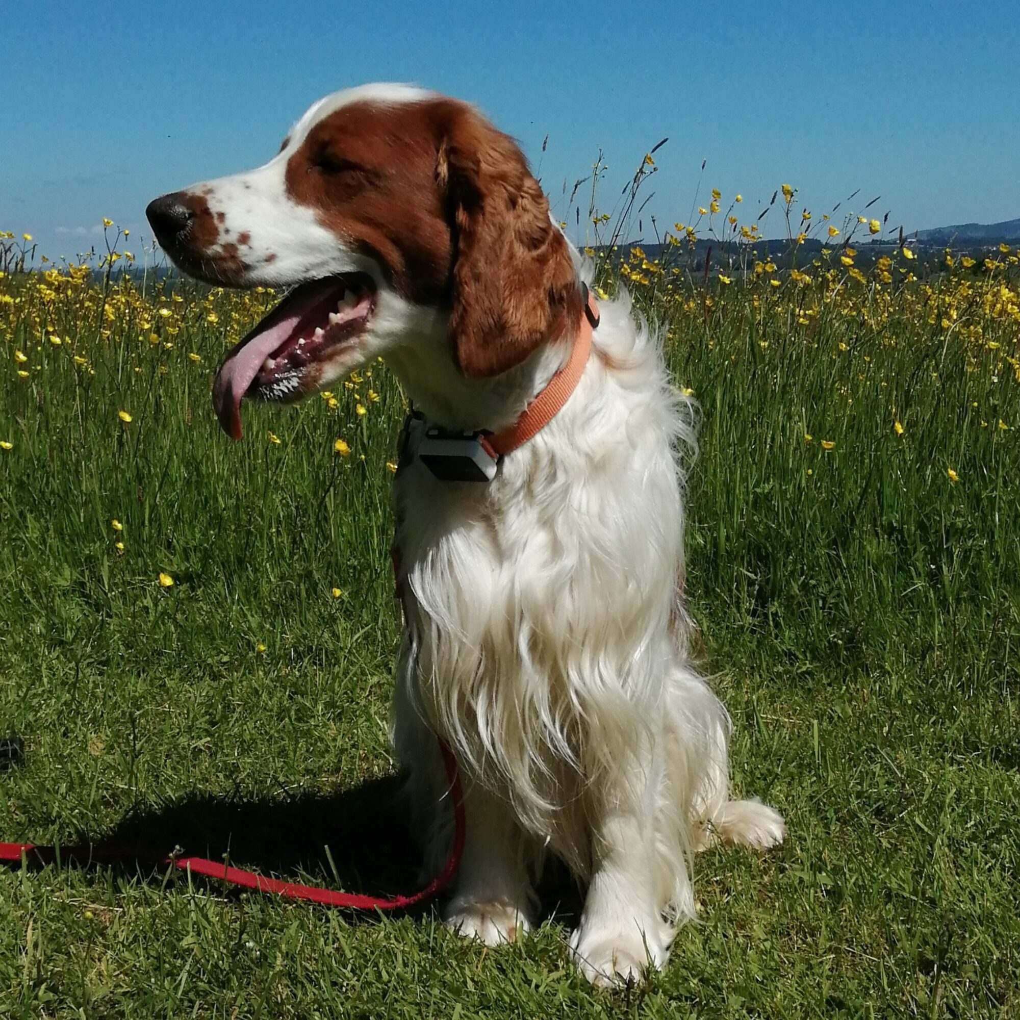 AK Bell Library - Culture Perth & Kinross