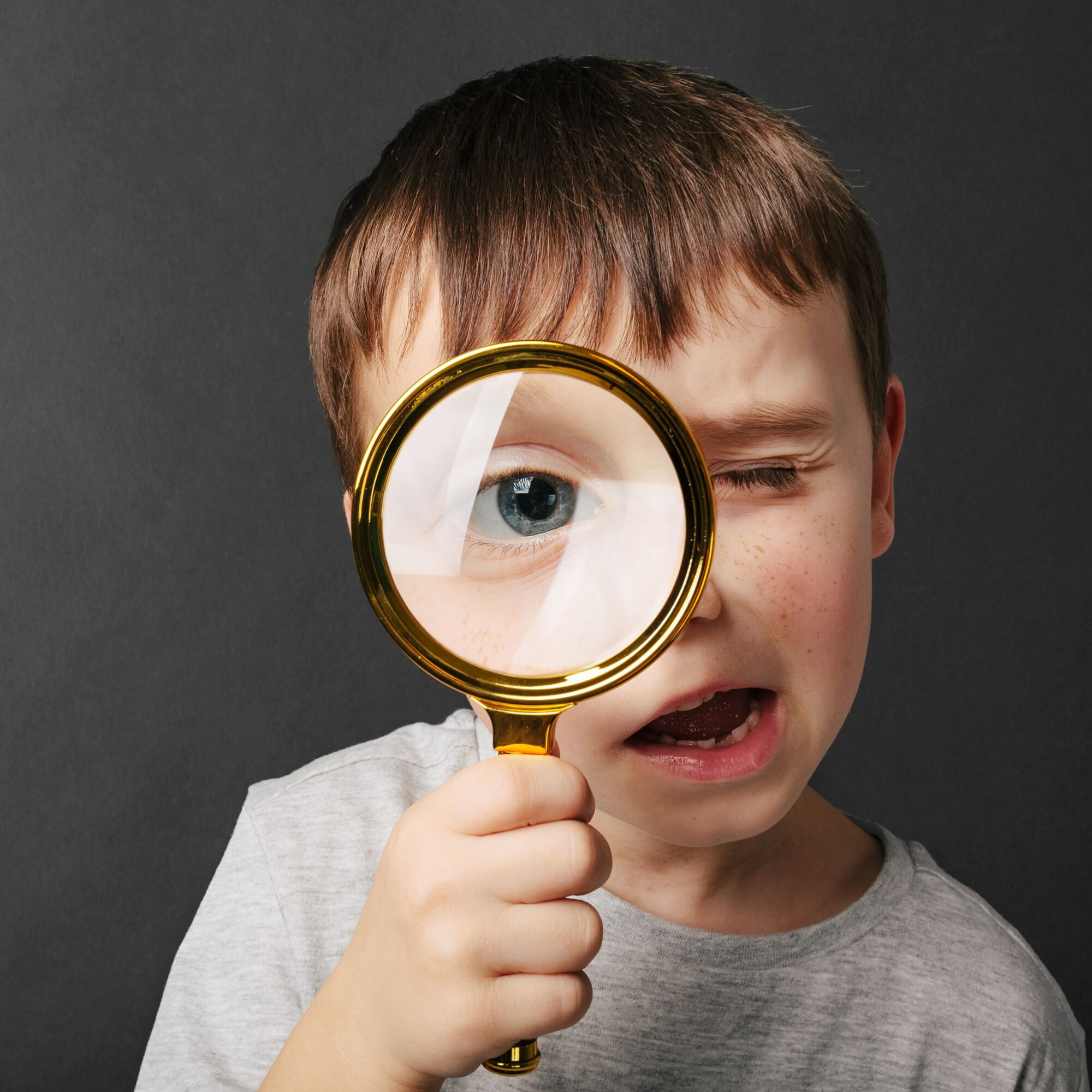 Library Services - Culture Perth & Kinross