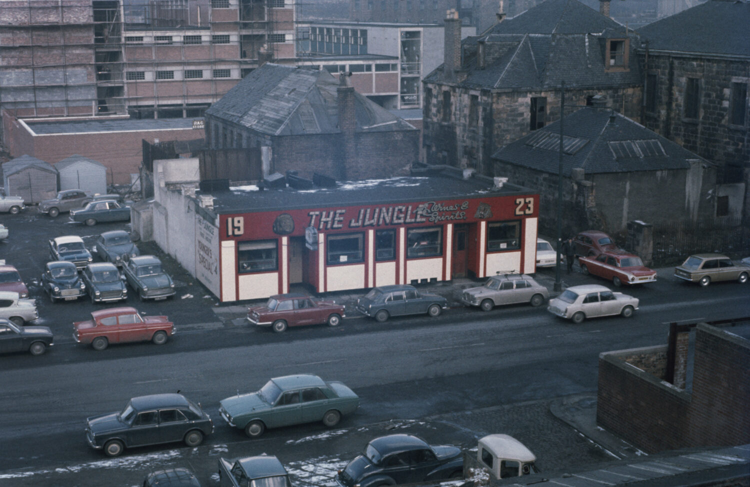 The Jungle by Gerry D'Ambrosio - Culture Perth & Kinross