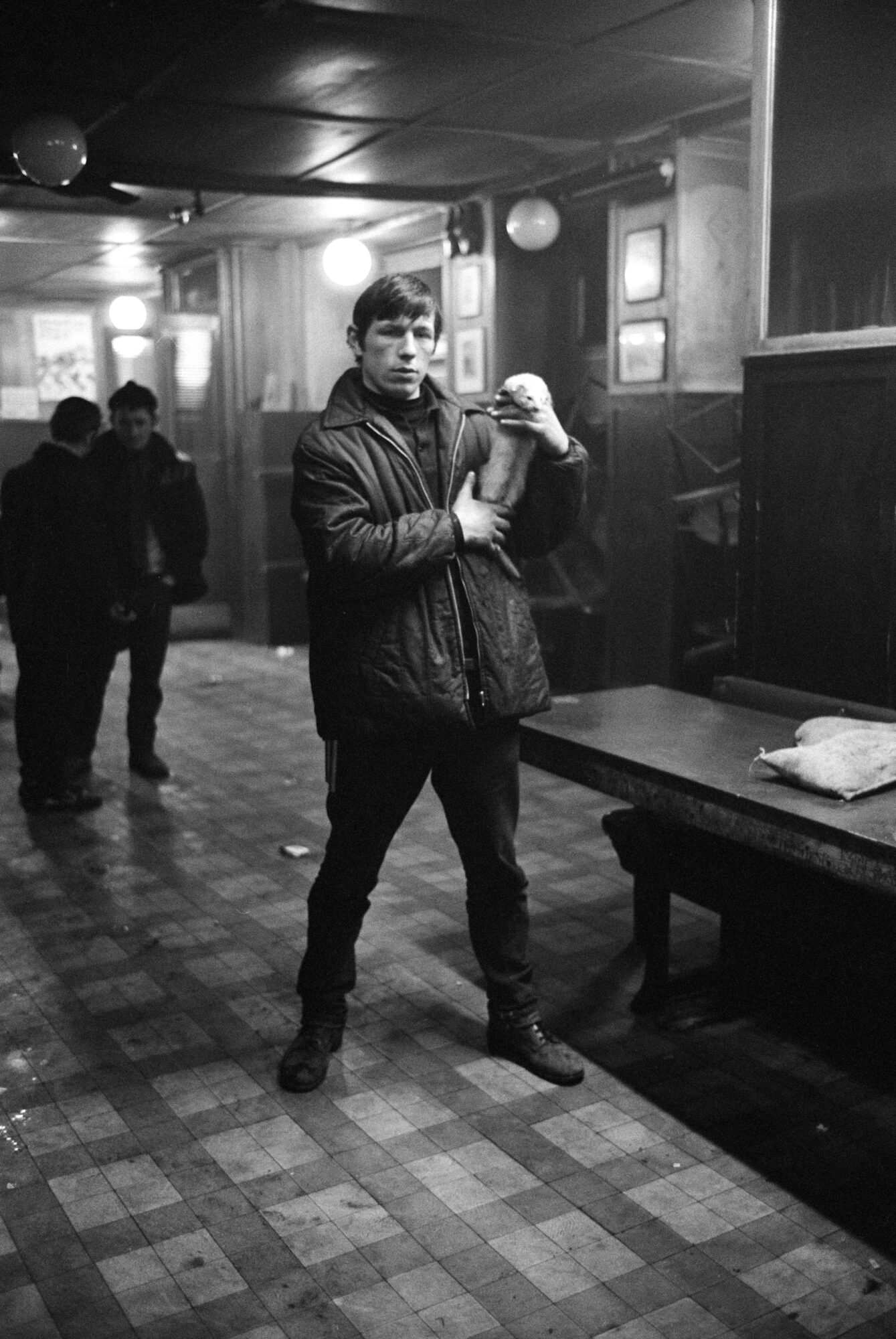 The Jungle by Gerry D'Ambrosio - Culture Perth & Kinross