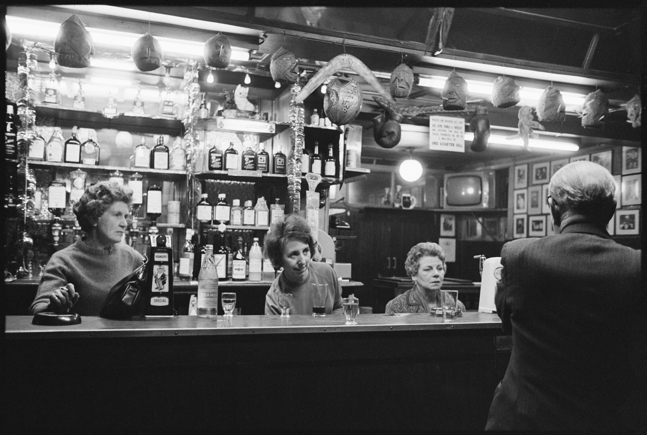 The Jungle by Gerry D'Ambrosio - Culture Perth & Kinross