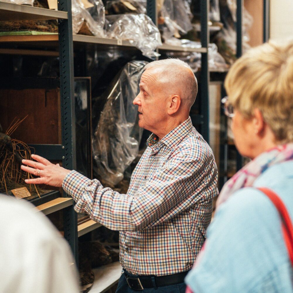 Perth Art Gallery - Culture Perth & Kinross