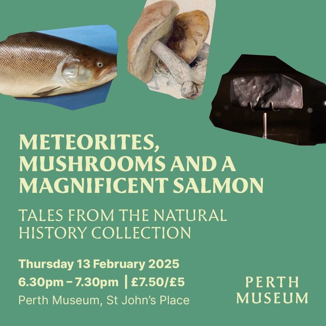 Perth Museum - Culture Perth & Kinross