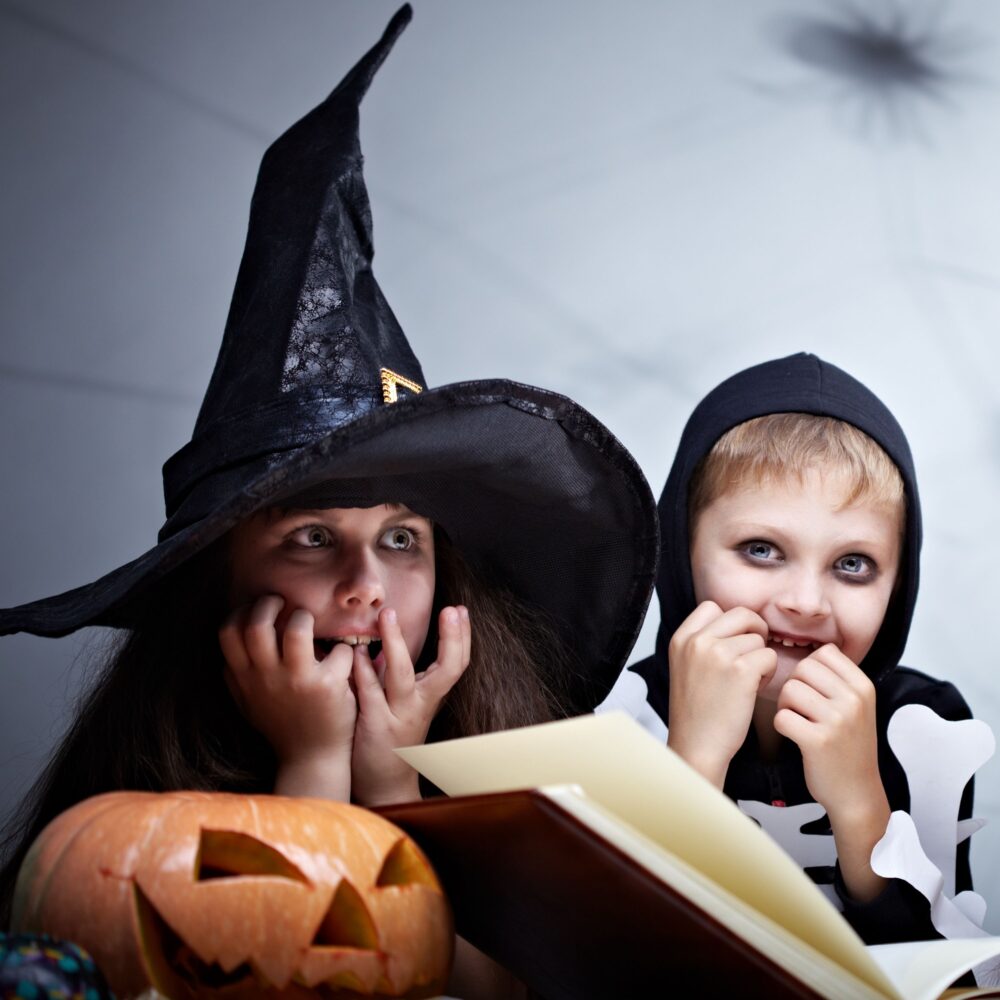 Loch Leven Community Library - Culture Perth & Kinross